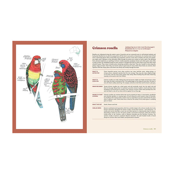 100 Australian Birds by Georgia Angus - The Panton Store