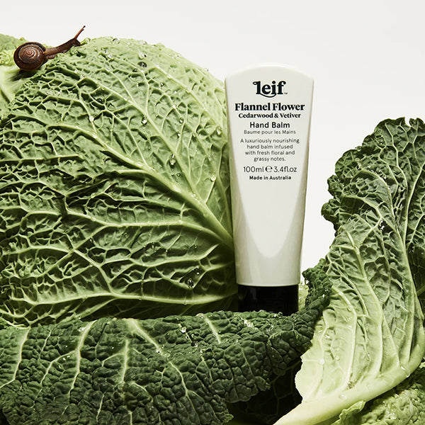 Leif Flannel Flower Hand Balm 100ml - The Panton Store