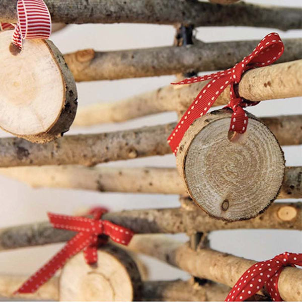 Silver Birch Decoration - The Panton Store